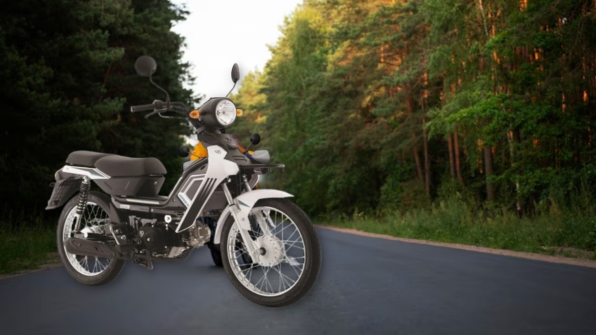 Motocicleta Italika AT110 LT en Elektra: ideal para trabajar, 20 MSI ...