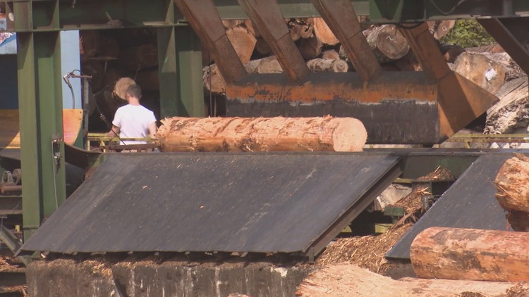 PNW logging leaders weigh in on Executive Order to increase federal logging