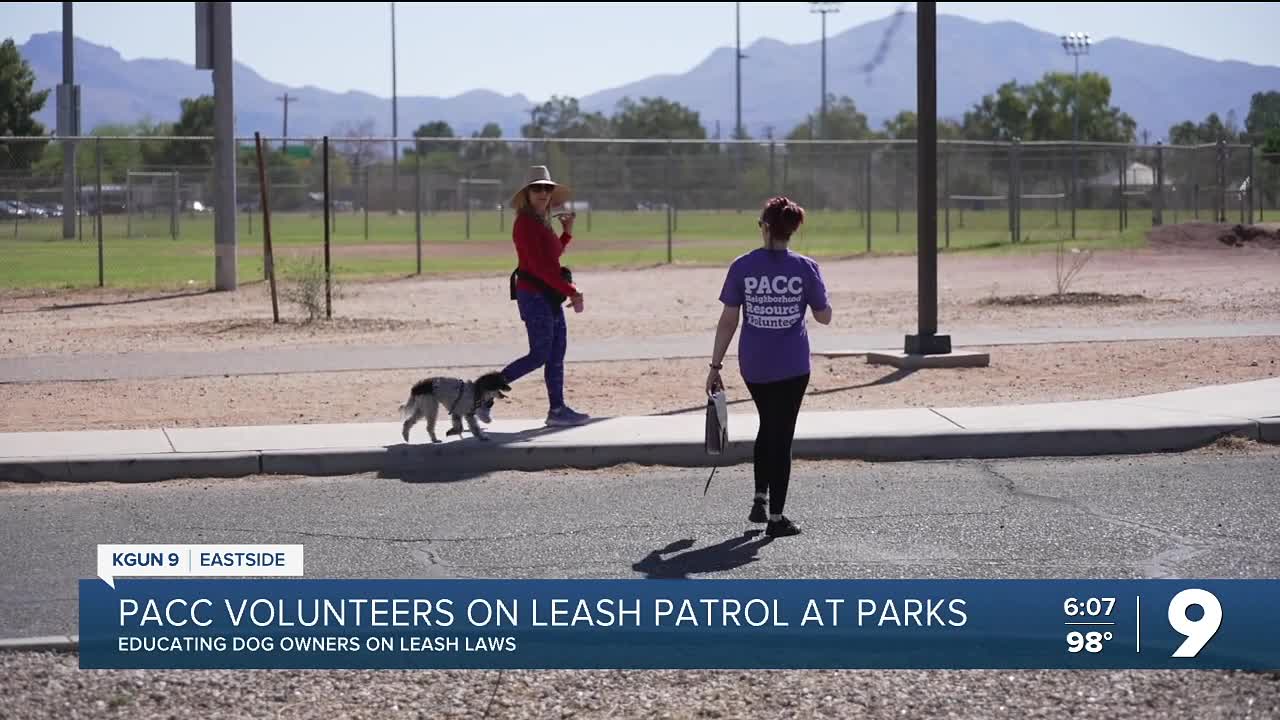 Who let the dogs out? PACC volunteers on leash patrol at Tucson parks