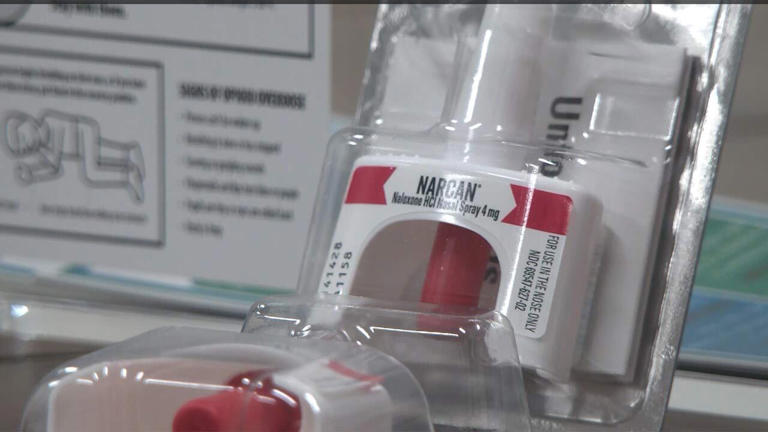 Berkeley County Coroner’s Office, Wake Up Carolina launching emergency ...