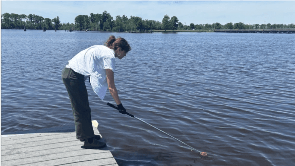 Slocum Creek, Washington waterfront and Havens Gardens fail water tests ...