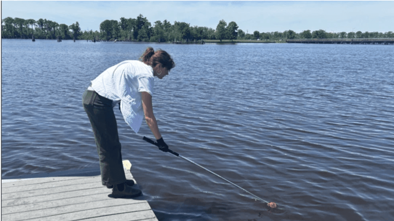 Slocum Creek, Washington waterfront and Havens Gardens fail water tests ...
