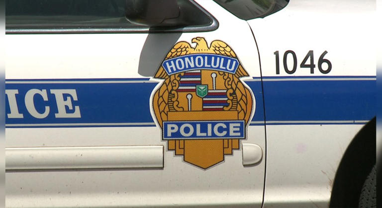 Man arrested for multiple vehicle thefts, terroristic threatening in ...