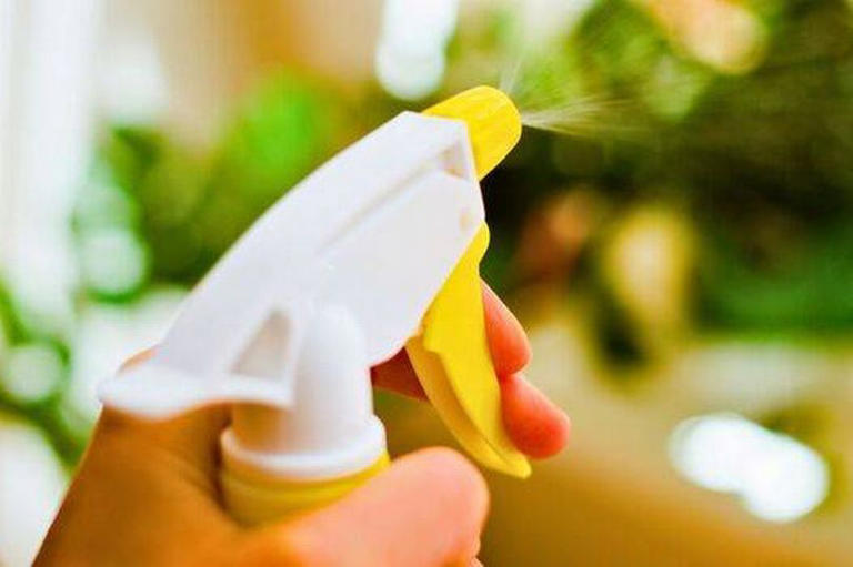 Simple kitchen hack using basic ingredient can keep flies out of your home