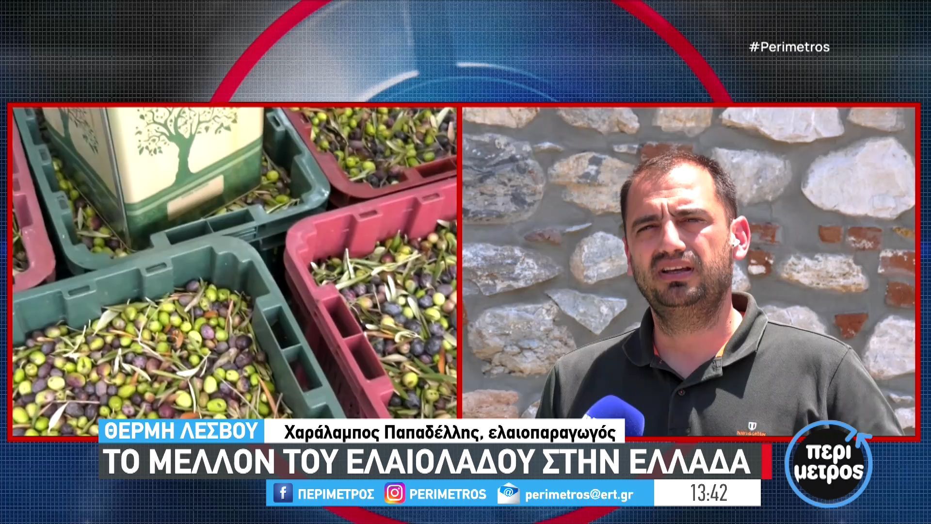 Λέσβος: Το μέλλον του ελαιόλαδου στην Ελλάδα- Ενδιαφέρον από τις ...