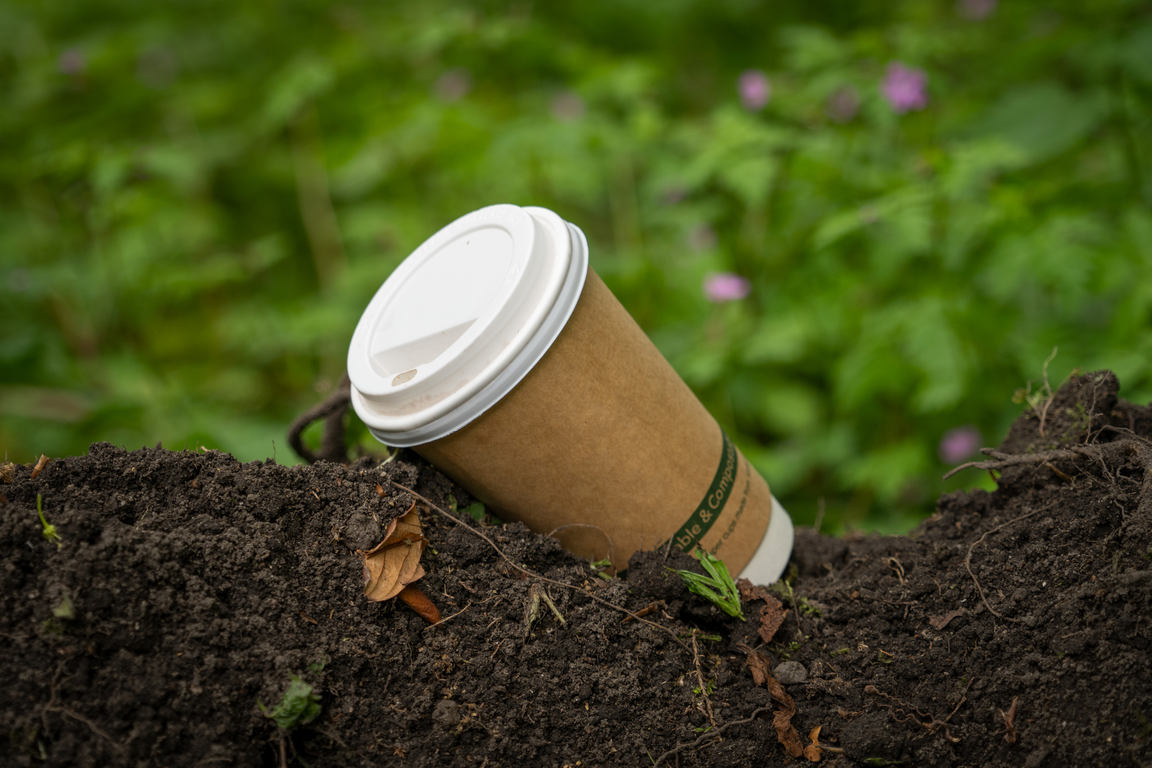 Compost Confusion: 10 'Green' Items That Do More Harm Than Good