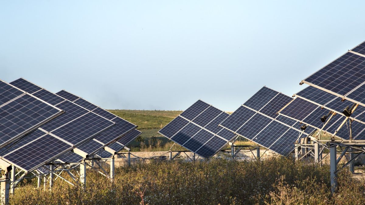 Juniper Green Commissions 59 MW Solar Unit 17 Months Ahead Of Schedule ...