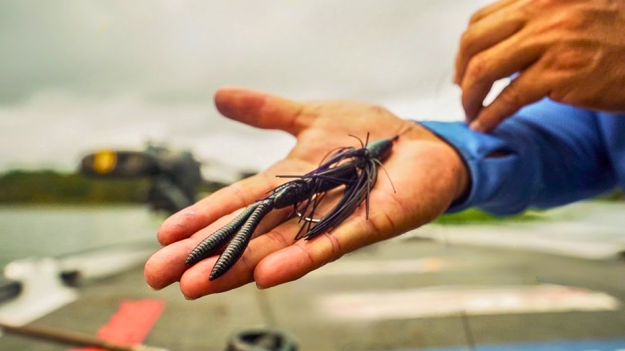 7 Tricks to Catching More Bass in Heavy Cover