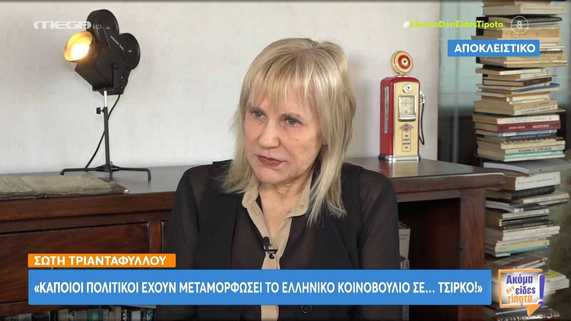 Σώτη Τριανταφύλλου: «Η Αριστερά έχει ένα παραμορφωμένο βλέμμα της ...