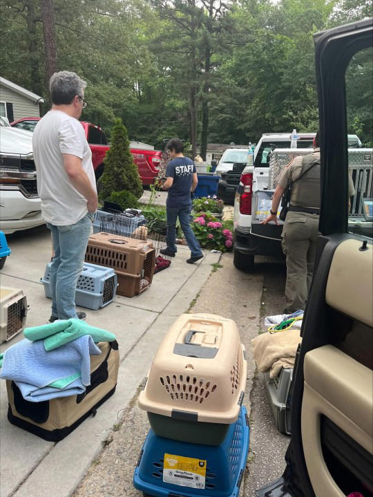101 dogs rescued from North Carolina home soon to be ready for adoption