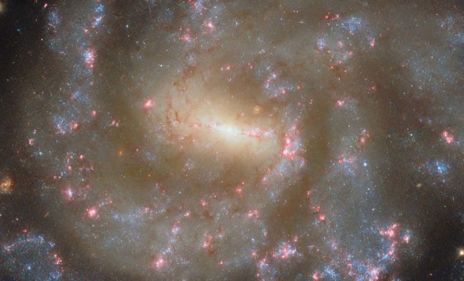 Hubble Just Snapped a Photo of a Galaxy Giving Birth to Stars—And It’s ...
