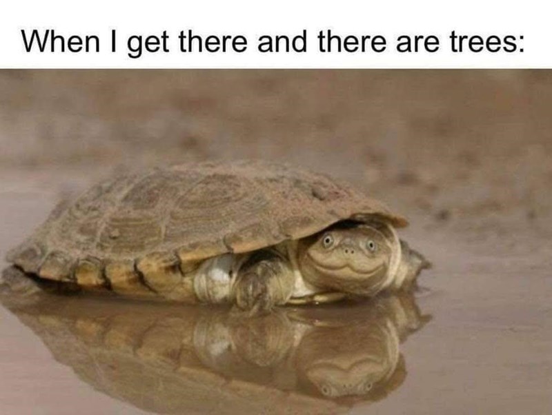 20 Nature Memes for Ecological Obsessives