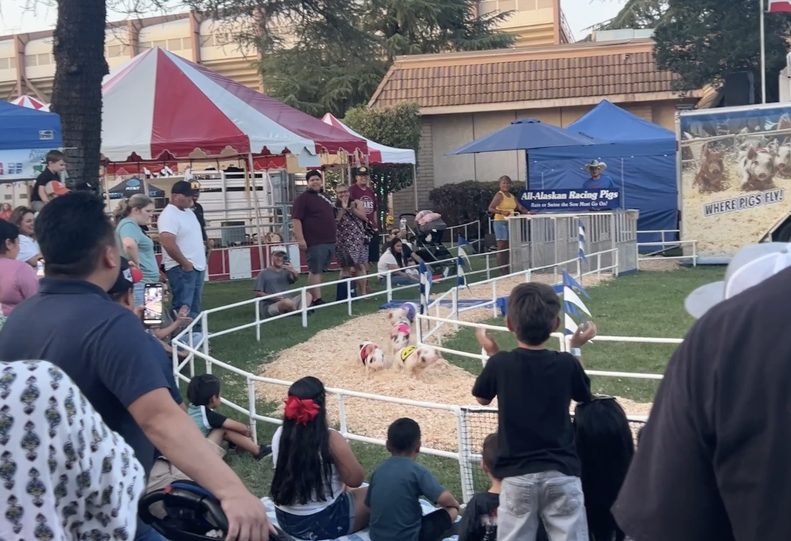 Heading to the Merced County Fair with your kids? Here's what to do