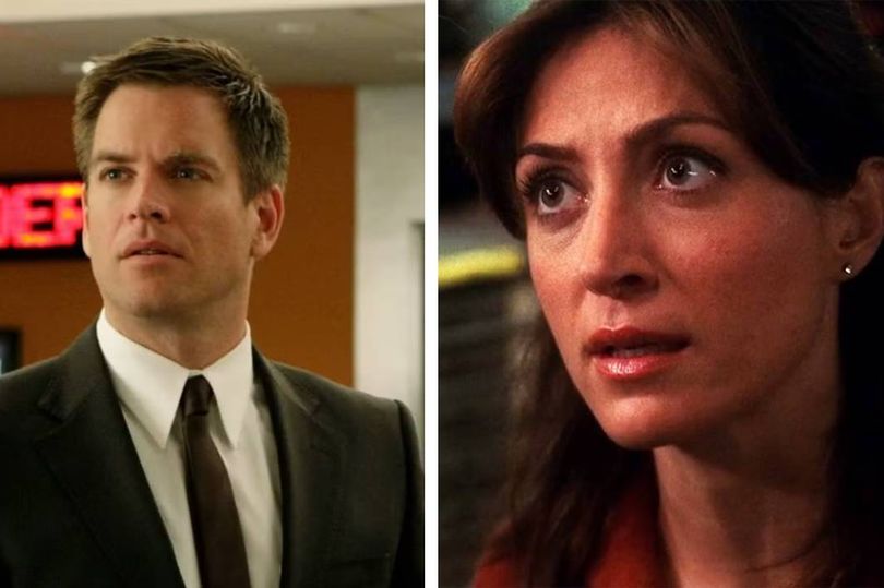 NCIS star Michael Weatherly points out major Kate Todd death clue fans ...