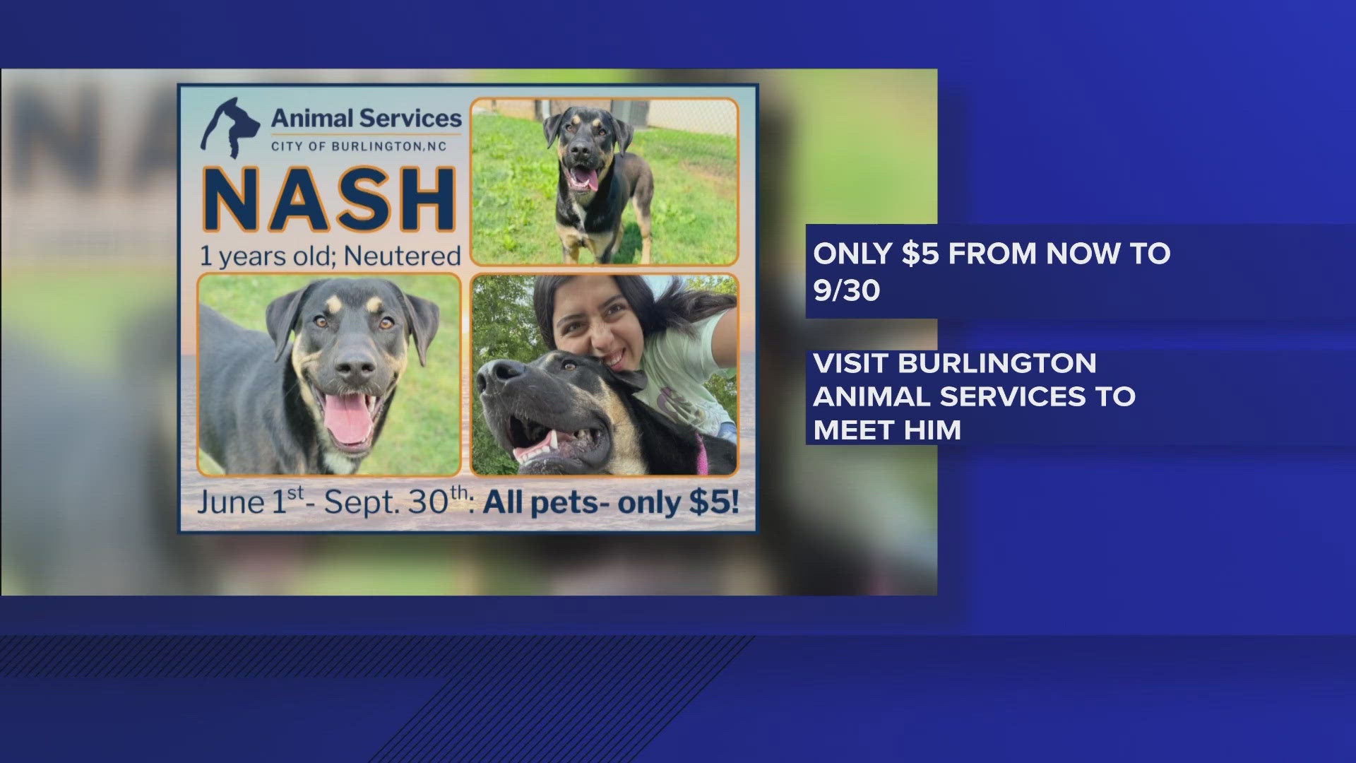 2 The Rescue: Meet Nash