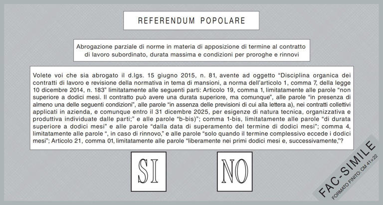 Fac simile referendum 2025, schede e quesiti: la guida definitiva (con ...