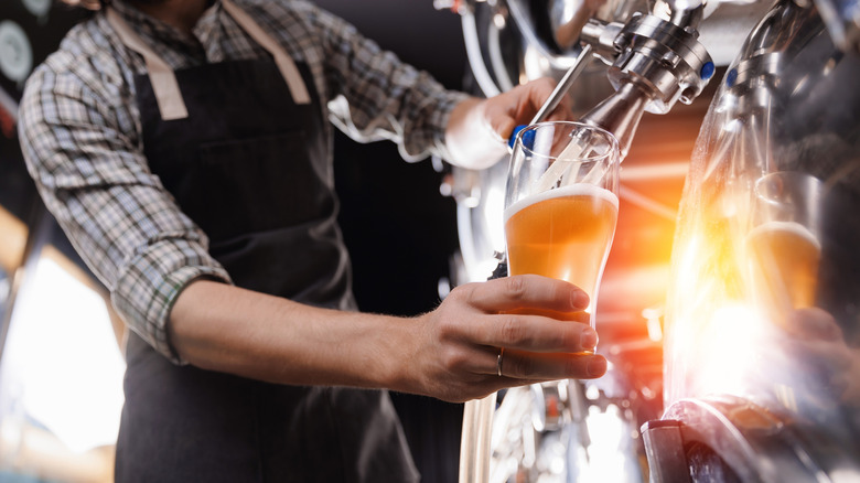 You Can Get A Degree In Beer Brewing — Here's How It's Done