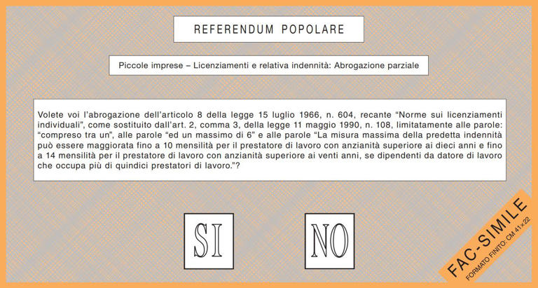 Fac simile referendum 2025, schede e quesiti: la guida definitiva (con ...