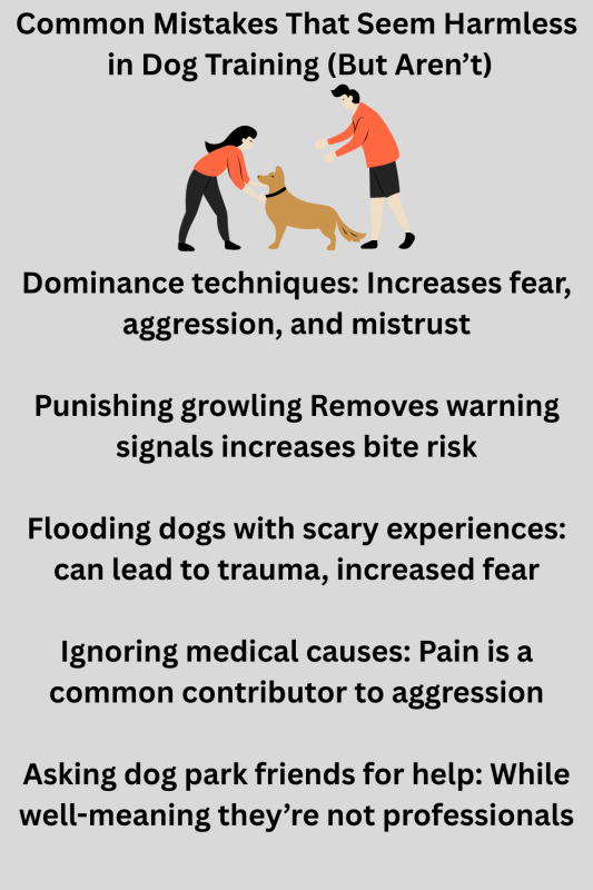 8 Training Mistakes Experts Say Are Making Your Dog’s Behavior Worse