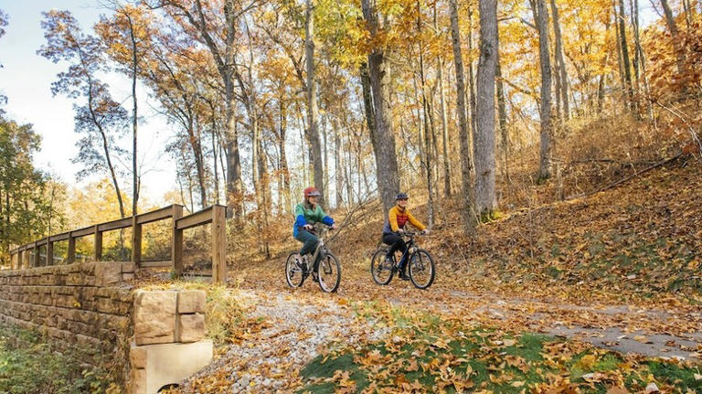 This Small Michigan Town Near Ann Arbor Has First-Rate Restaurants ...