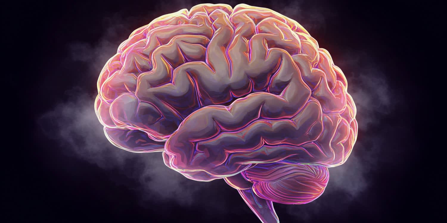 Neuroscientist just discovered a fascinating fact about the grooves in ...