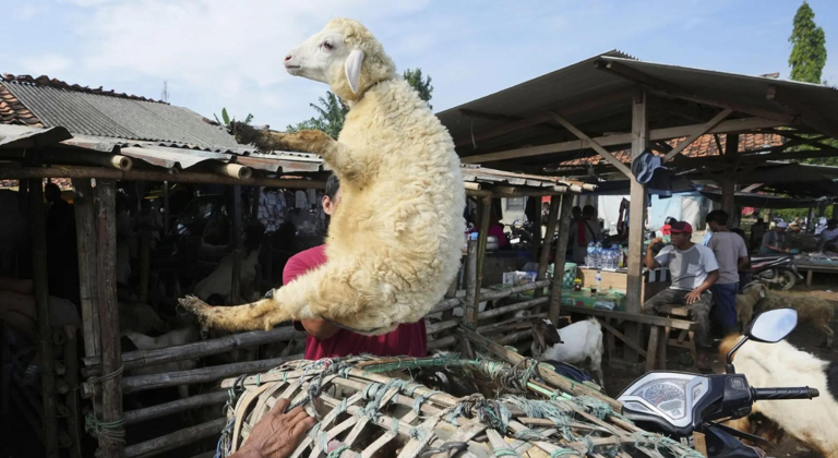 Eid Al Adha 2025: From Egypt to the UAE, can families across the Arab ...