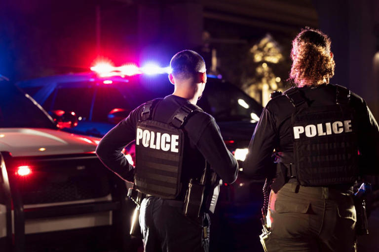 I Asked Police What to Do if You or Your Home Are Swatted