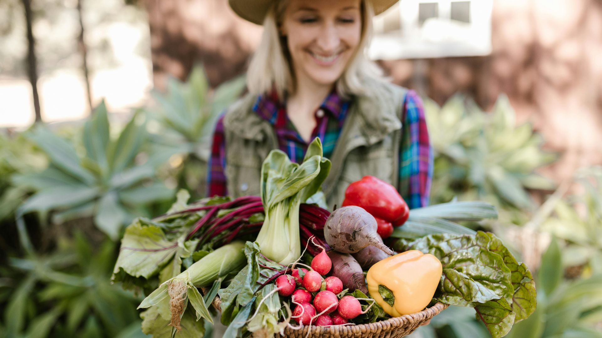 Trump Vs. Apple: The White House clashes over tariffs with the tech giant