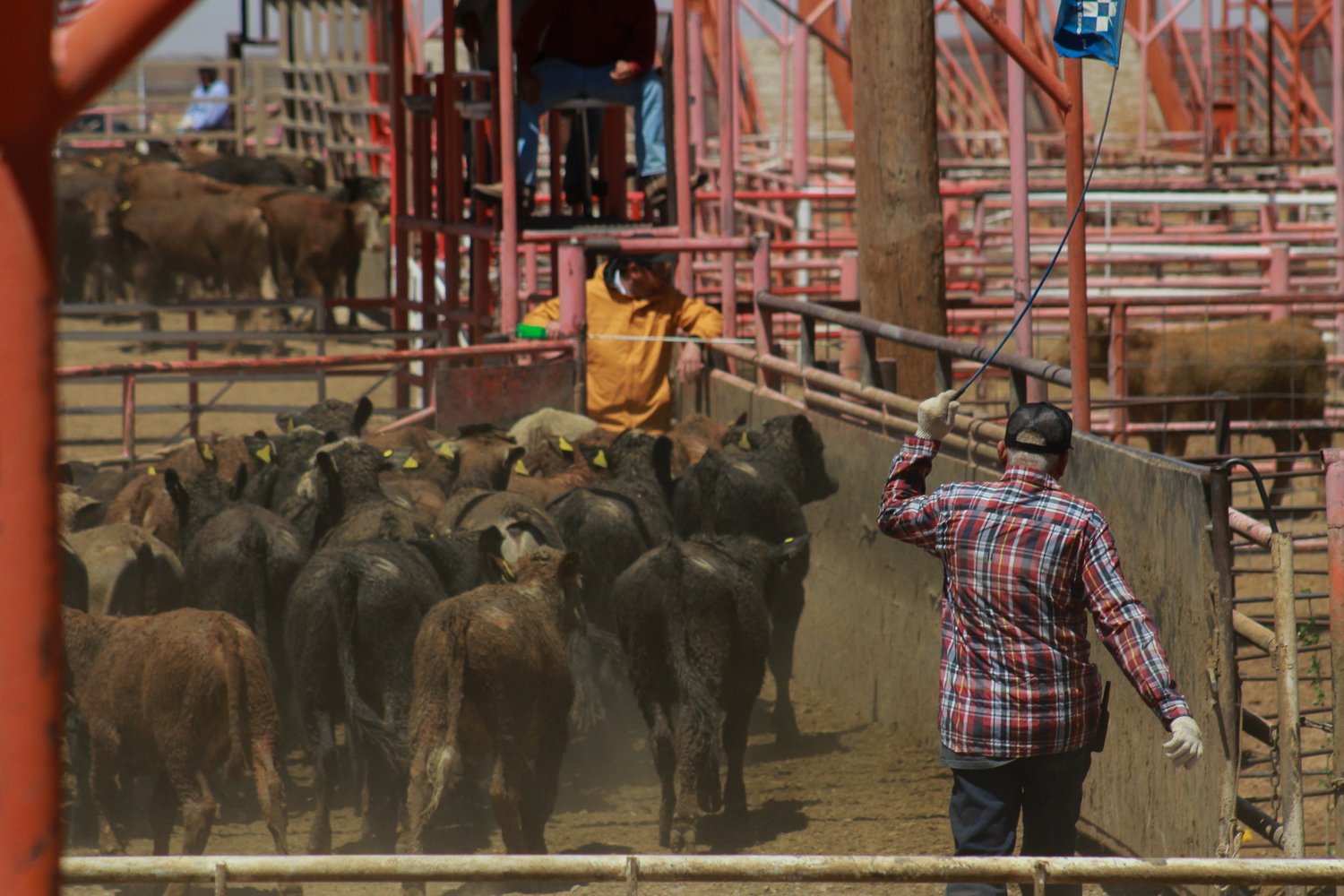 For borderland cattle ranchers, a trade war with Mexico adds to the list of troubles