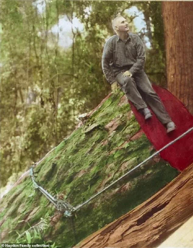 Inside the dark mystery at heart of Jodie Haydon's family: Loved one ...