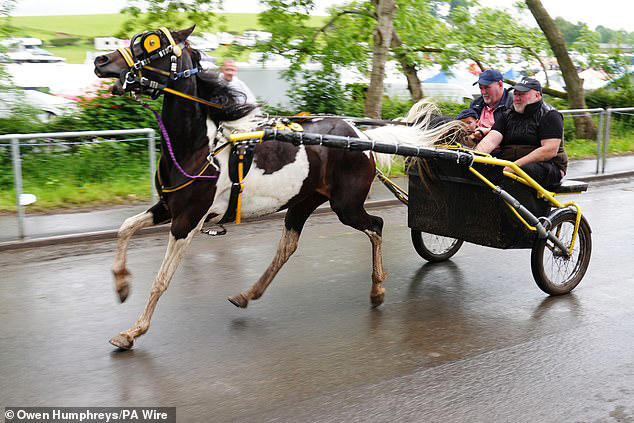 Fire breaks out at Appleby Horse Fair: Stall and tent are engulfed in ...