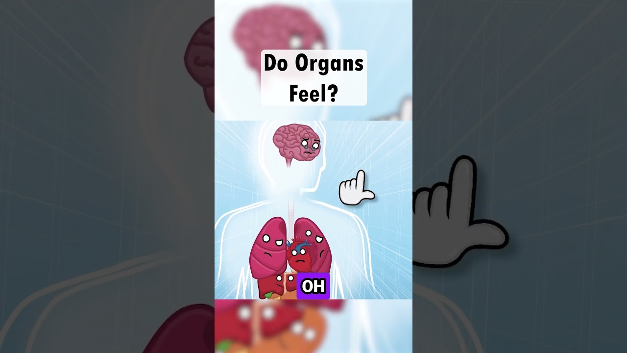 How the Organs first became SENTIENT! 🧠💗😃