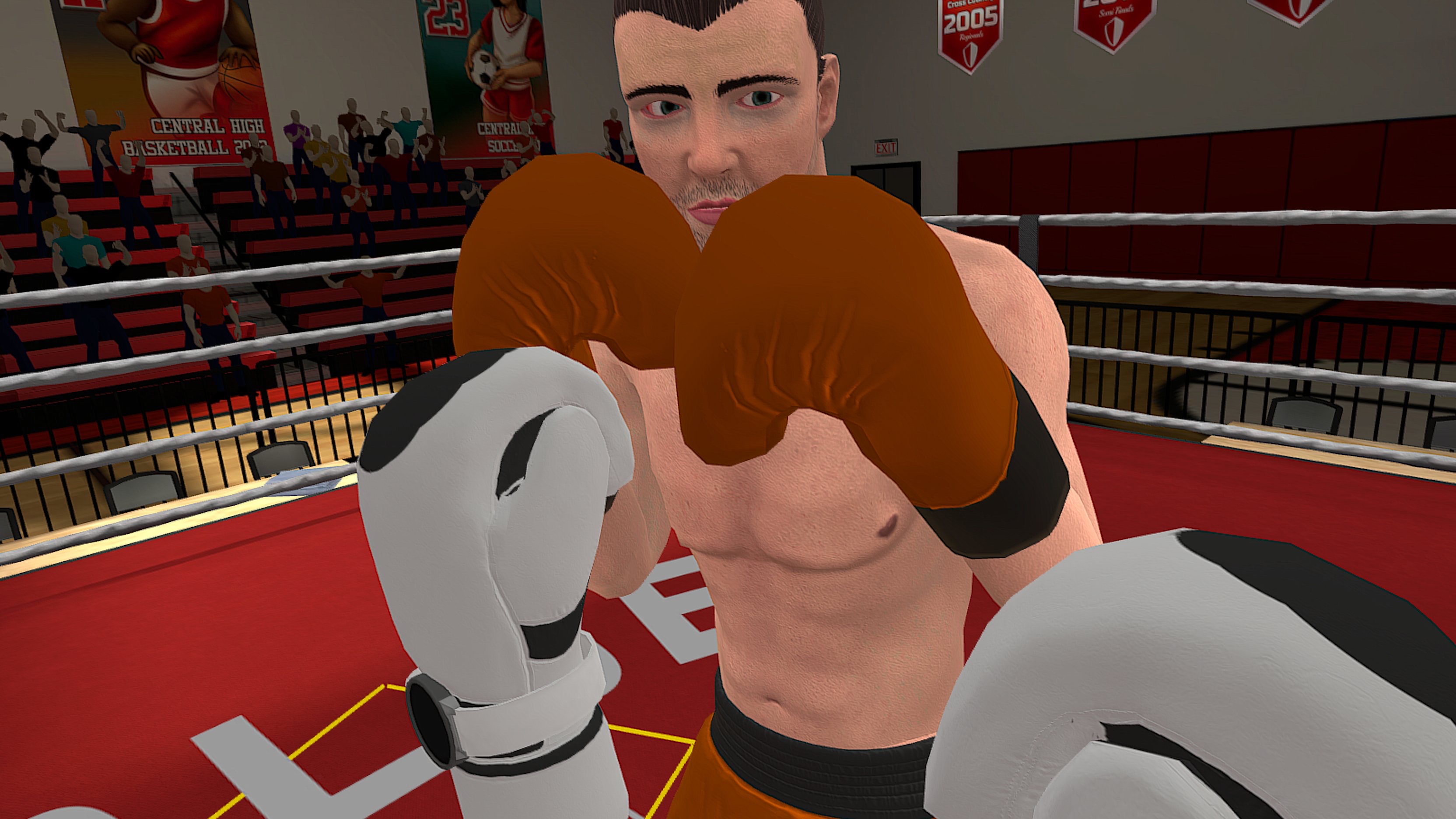 Golden Gloves VR Review: Virtual Reality Boxing Gets Serious