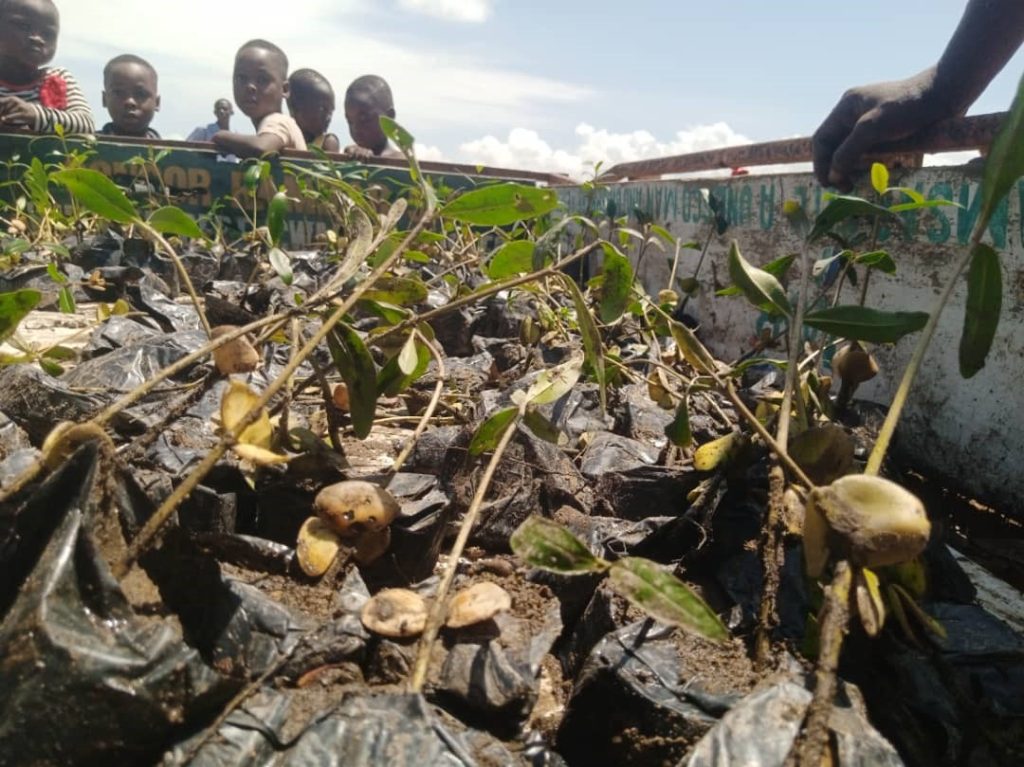 Prudential Insurance, partners plant 5,300 trees in Ada