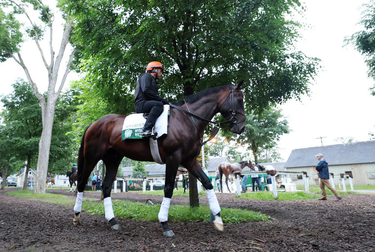 FanDuel promo code: Claim $500 Belmont Stakes no-sweat bet