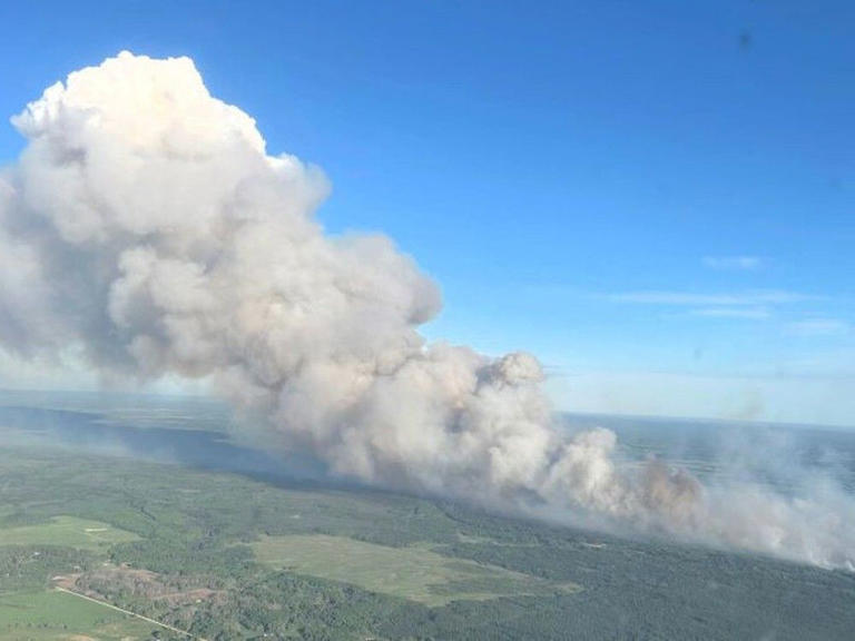 Wildfire updates: Six Alberta forest areas in 'extreme wildfire risk ...