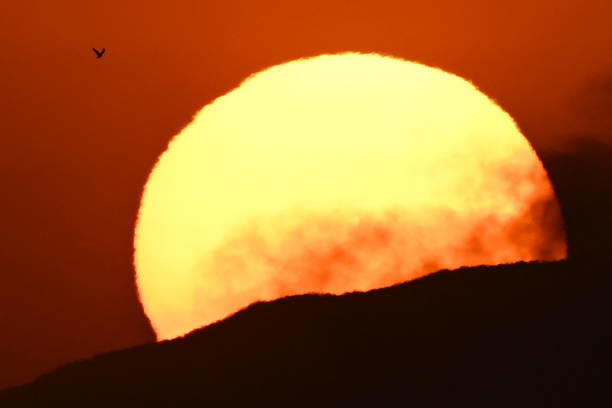 What are the symptoms of a heat stroke?
