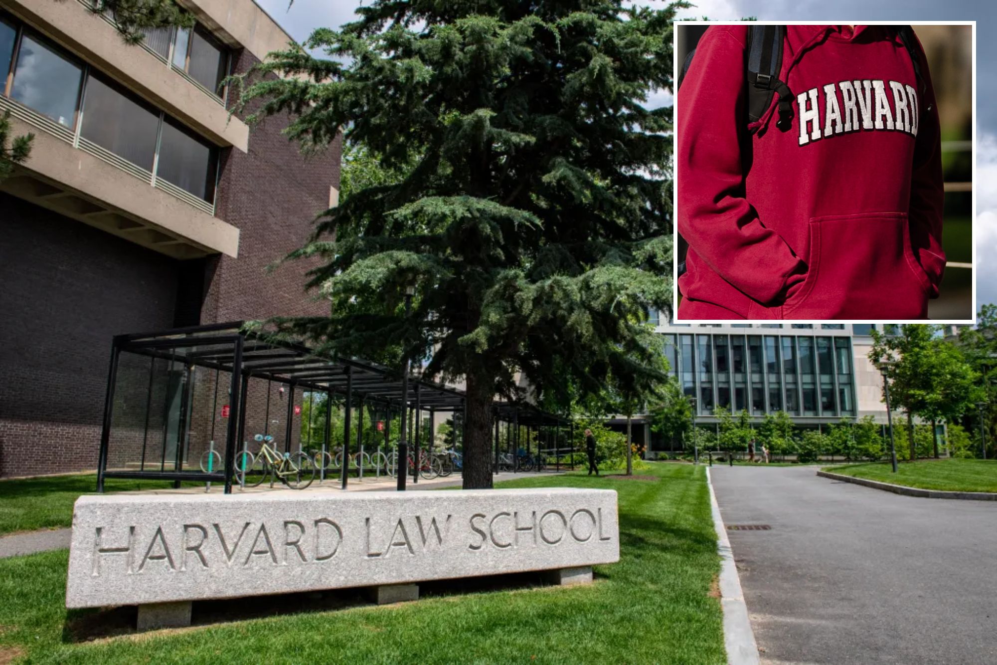 Harvard Law Review retaliated against student who allegedly sparked ...