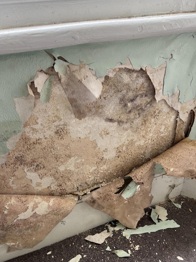 What I Own: At 22 and 23, we bought a run down London four-bed for £910,000