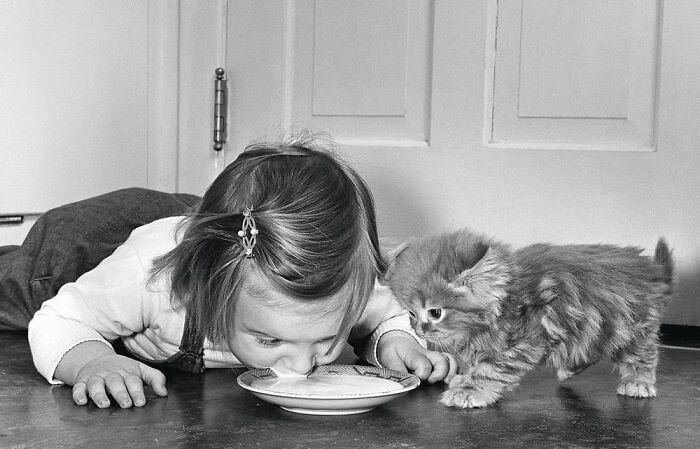45 Adorable Vintage Photos Showcasing The Timeless Bond Between Kids ...