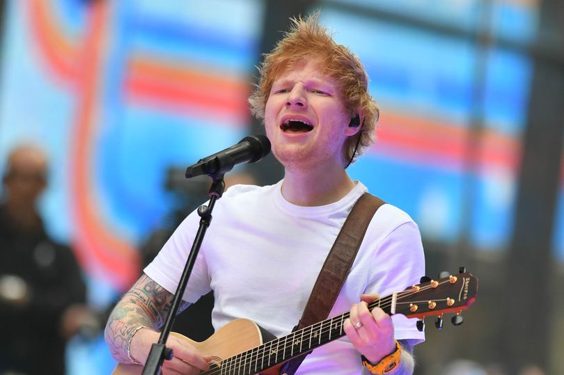 'Panther-like' cat seen roaming near Ed Sheeran's mansion sparks fears ...