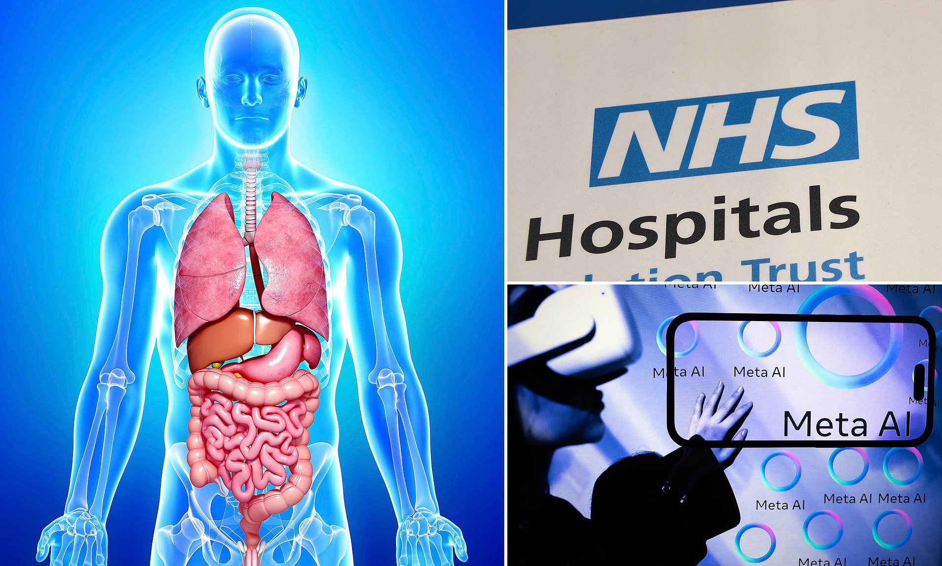 NHS AI project is halted after fears it used health data of 57 MILLION ...