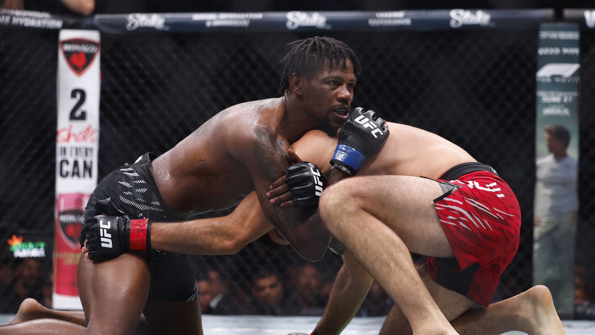 UFC 316 video: Kevin Holland calls out Colby Covington after tapping ...