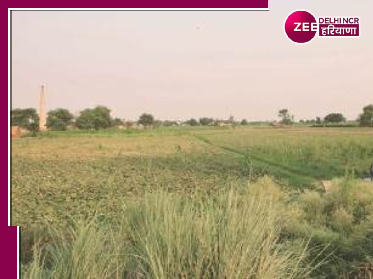 DeFlocked by Jeff Corriveau