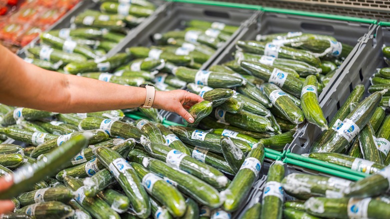 The Specific Reason English Cucumbers Come Wrapped In Plastic