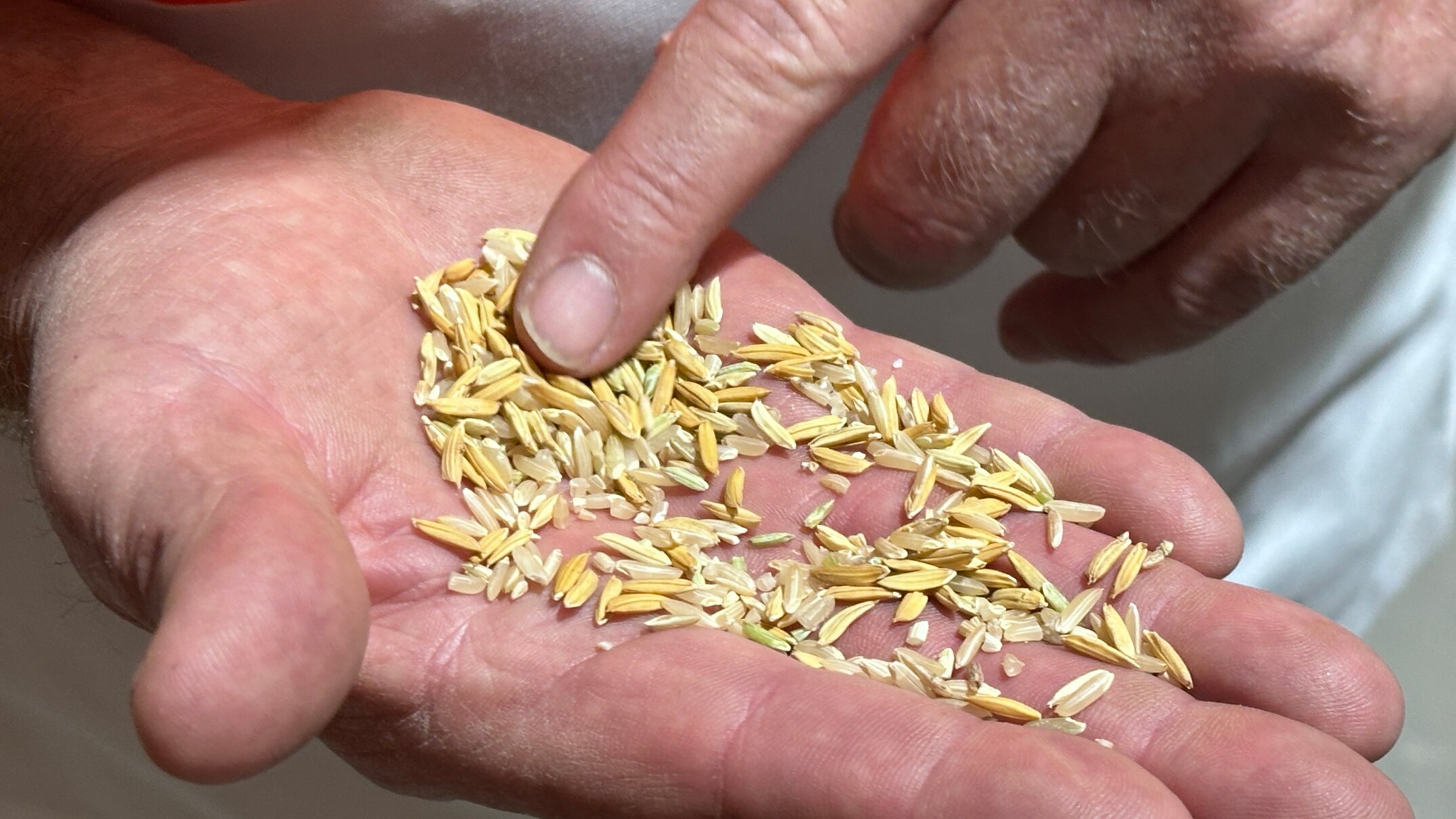 Australia's newest rice mill funded largely by farmers