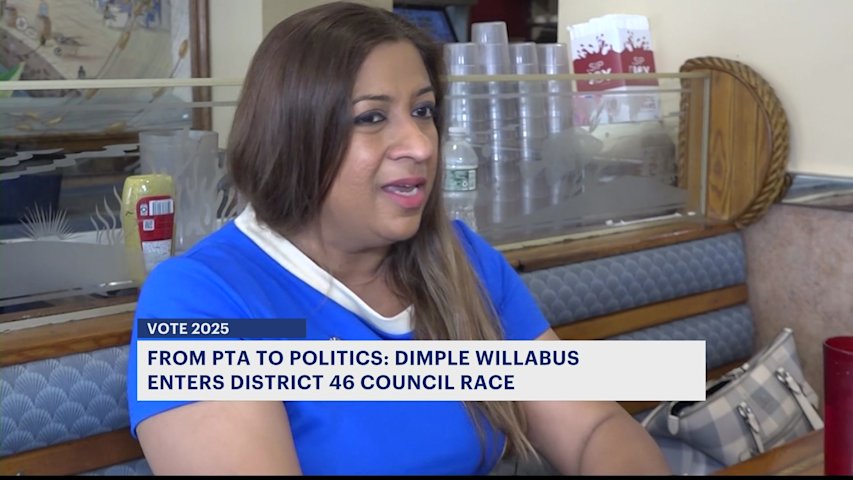 From PTA to politics: Dimple Willabus enters District 46 City Council ...