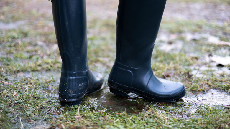 Prevent Mud Problems Early With A Surprisingly Easy Yard Hack