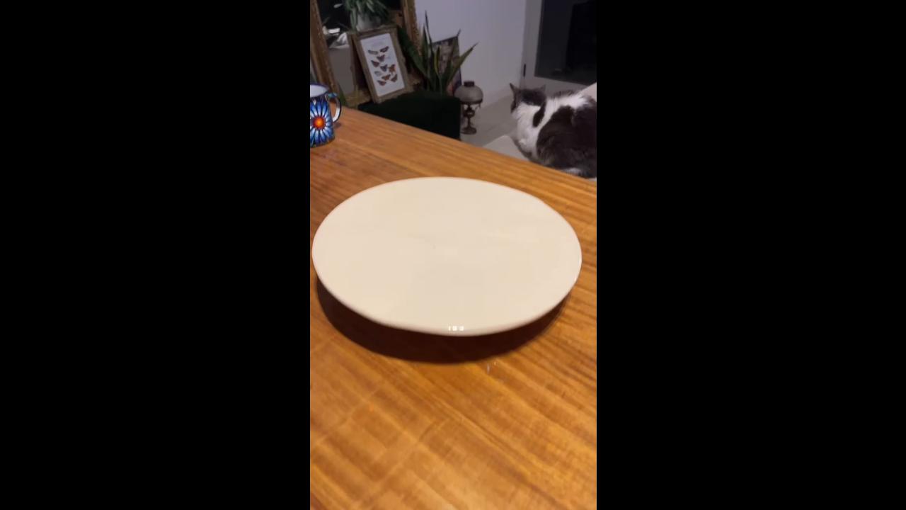 Ceramic Plate Design Tries to Hold Up
