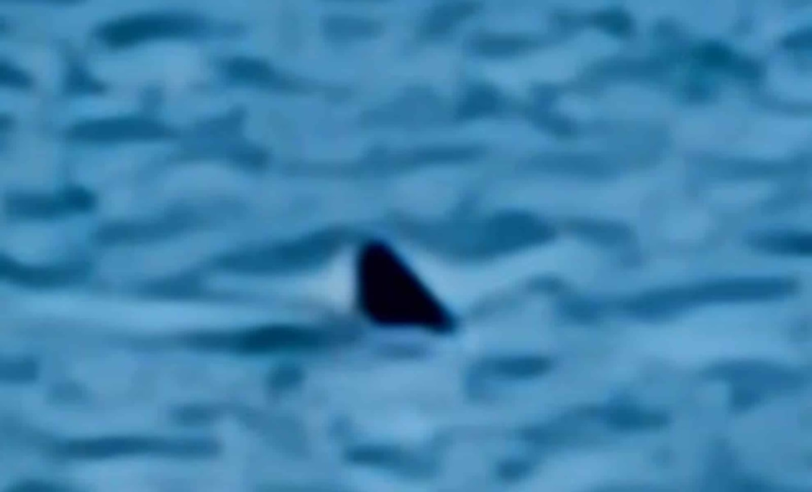 Just Another Beach Video… Until One Terrifying Detail Appears In The ...